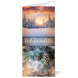 Beautiful Creation Winter Bulletin - Church Bulletins - Outreach Marketing